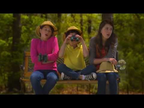 Branson Butterfly Escape!