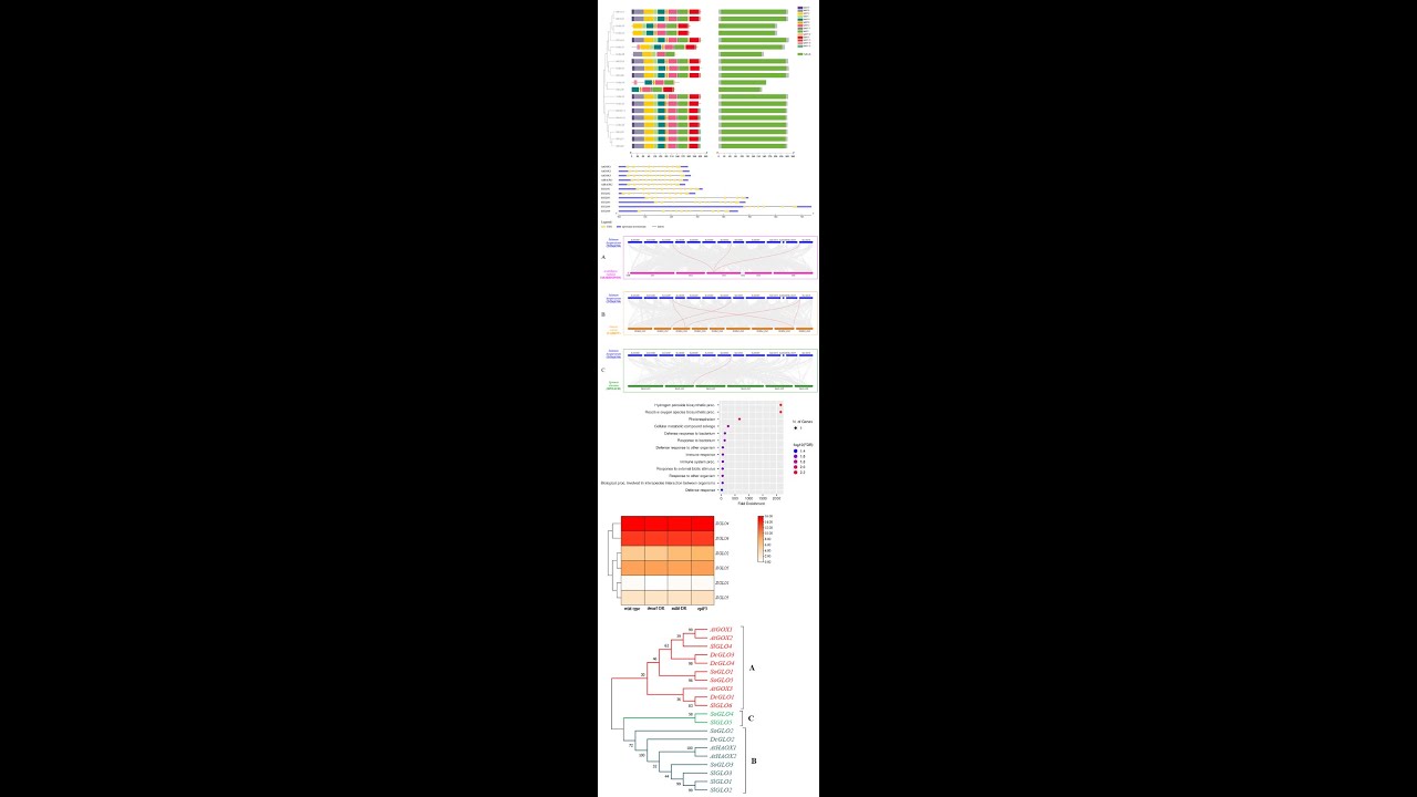 Step 1 Genome  wide Analysis   Sequence Retrieval from Genome database