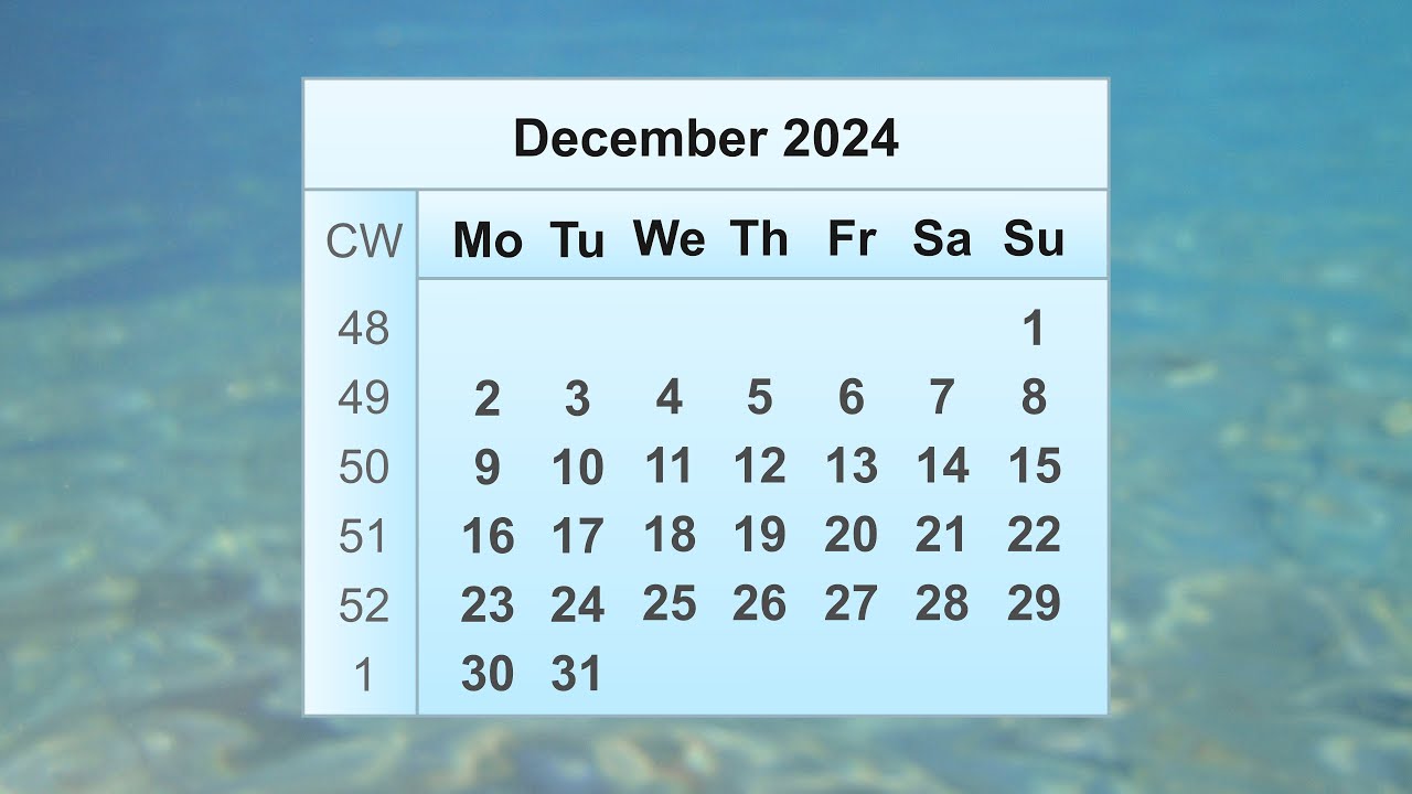 December 2024 Calendar