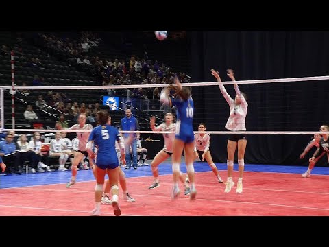 Wayzata Volleyball rolls into state final – Wayzata.com