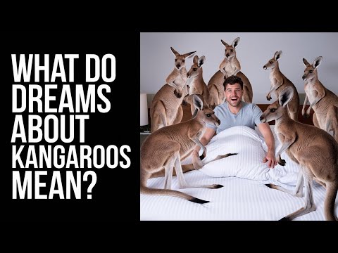 What do dreams about kangaroos mean?
