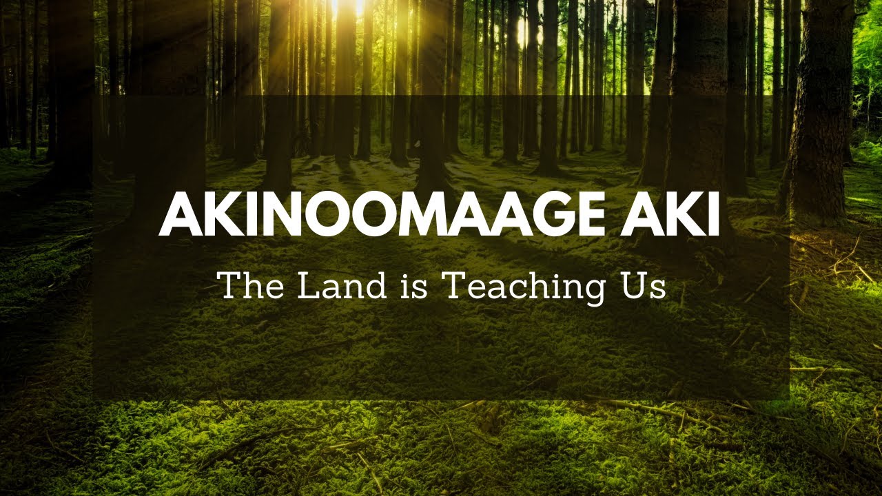 The Importance of Land-Based Education in Indigenous Cultures | Galaxy.ai