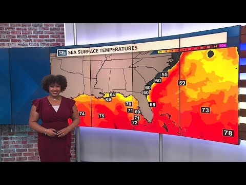 Here's what experts are predicting for the 2024 hurricane season