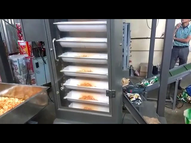 Packaging Machine - Pneumatic Bagger with Servo Auger Filler ...