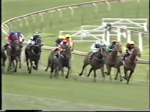 Sandown 8 Races Sat 21 Aug 1999 Pt 1