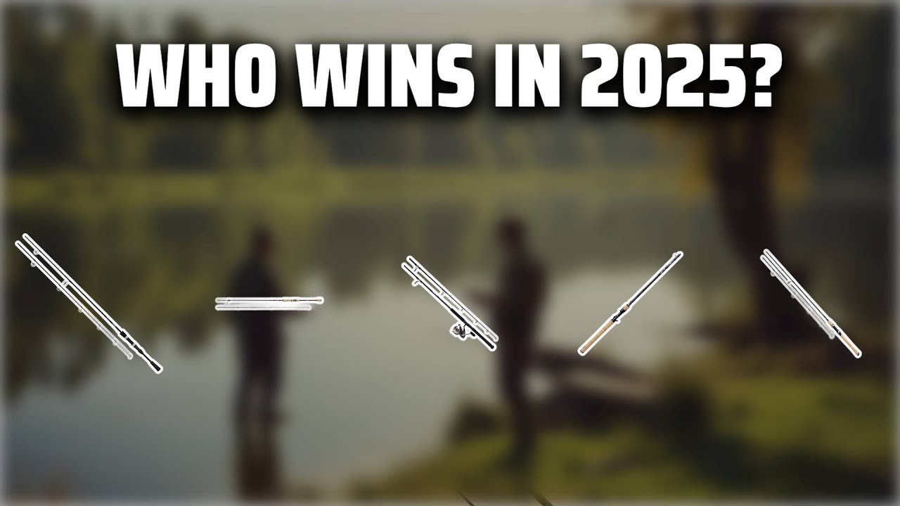The Top 5 Best Daiwa Spinning Rod in 2025 - Must Watch Before Buying!