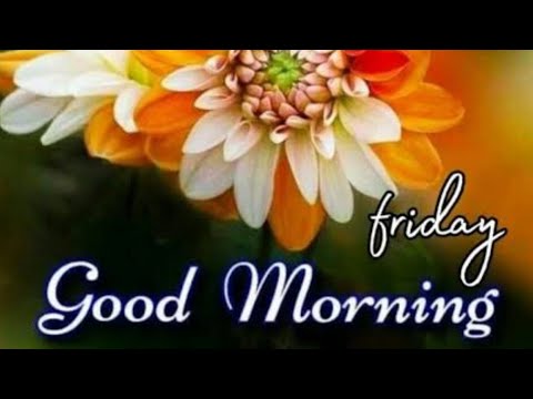 Good morning Friday images, best good morning images & beautiful flowers images