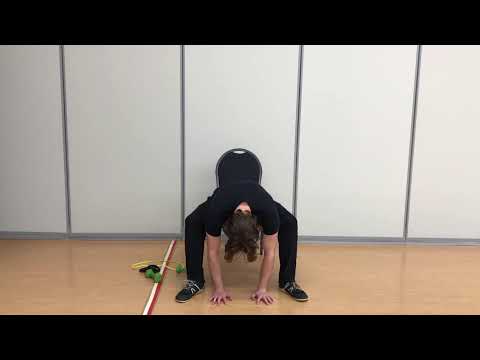 Sit to Fit: A Virtual Seated Exercise Class for All Levels