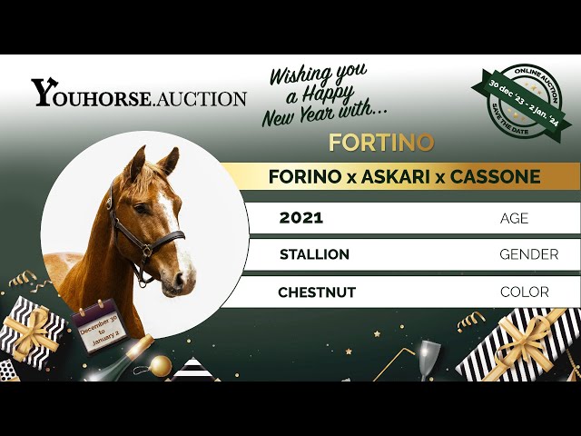 Youhorse.auction | Fortino