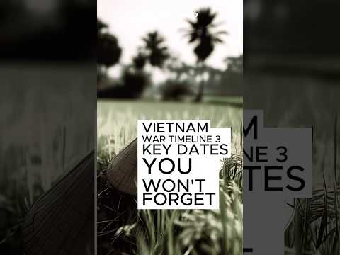 The Timeline of the Vietnam War Explained