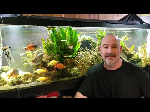 Introducing New Features And A second Channel