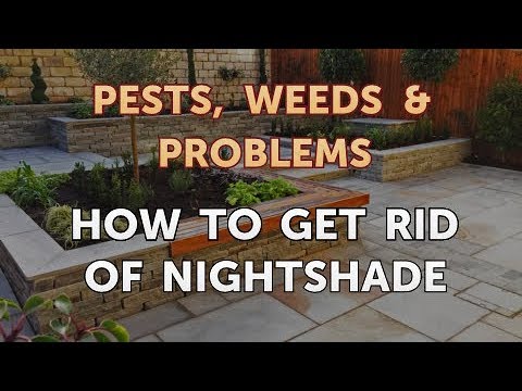How to Get Rid of Nightshade
