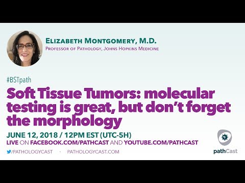 Soft tissue pathology - Dr. Montgomery (Hopkins) #BSTPATH