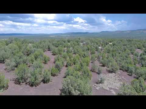 SOLD - 4.77 Acres - With Power & Gravel Road Access! In Williams, Coconino County AZ .