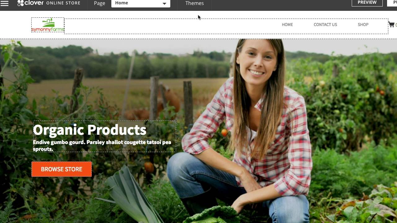 Clover Online Store Demo