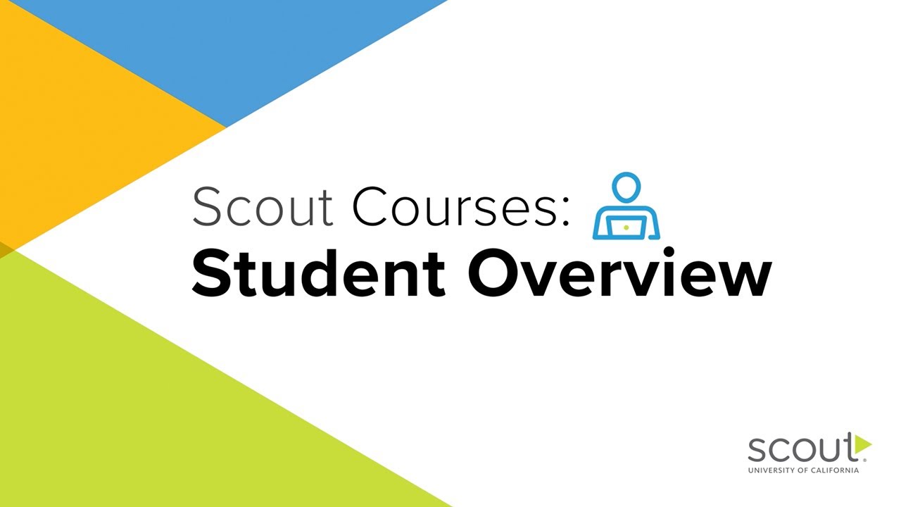Scout Courses: Student Overview