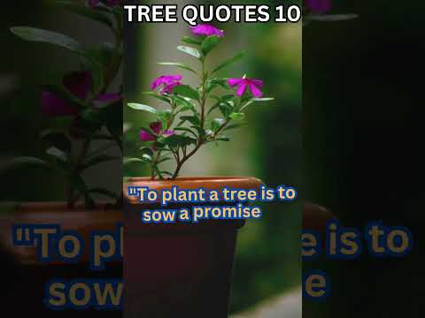 TREE QUOTES PART 10 #shorts #youtubeshorts #tree