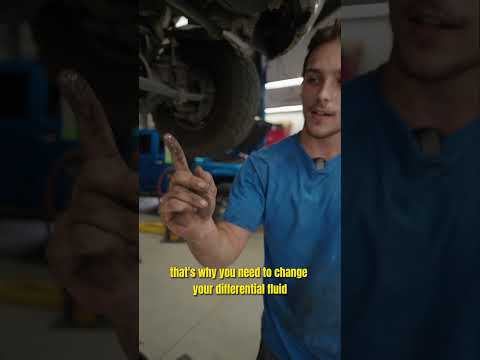 Service 101: Differential Fluid #service #carmaintence #technician
