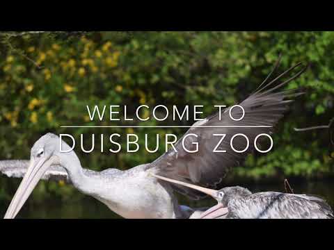 Duisburg Zoo || Germany