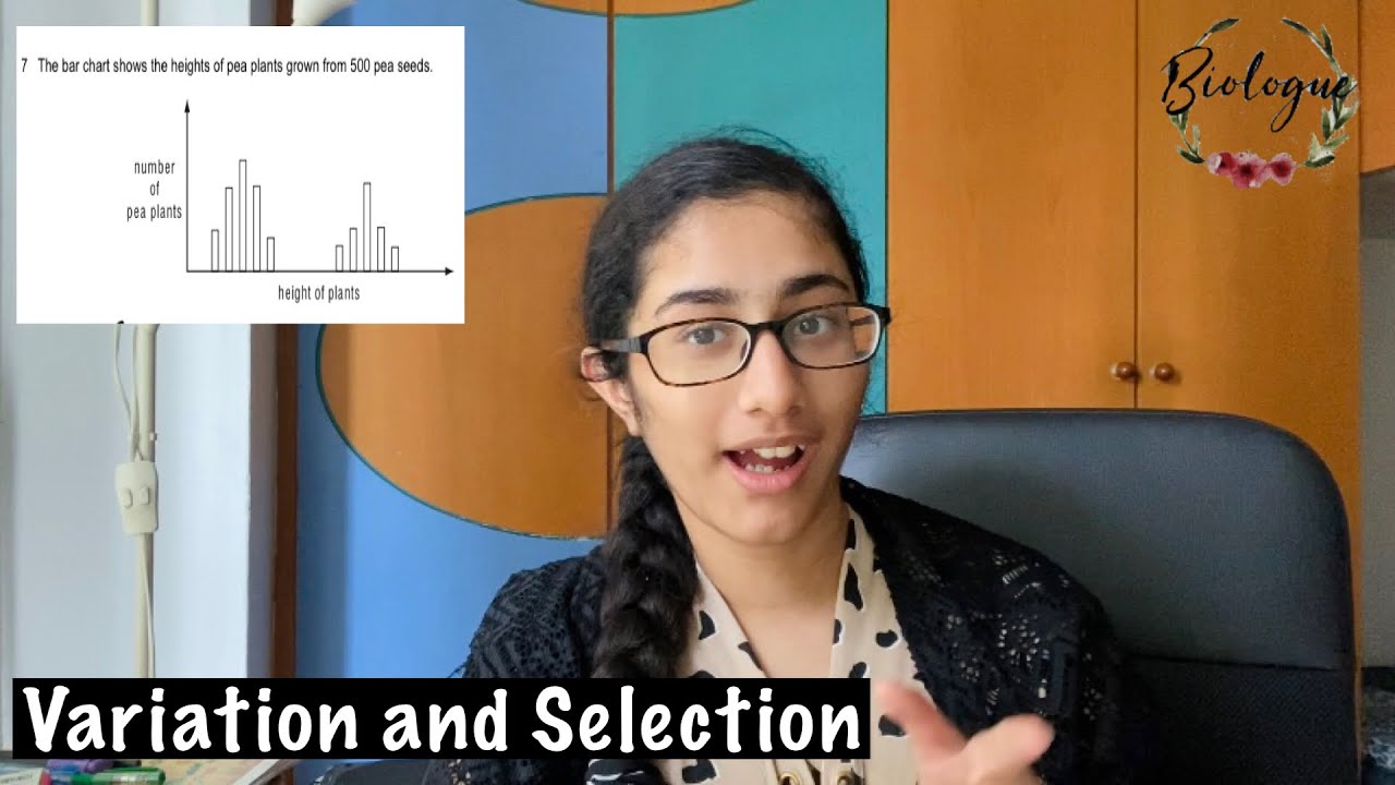 IGCSE Past Paper Series - Variation and Selection