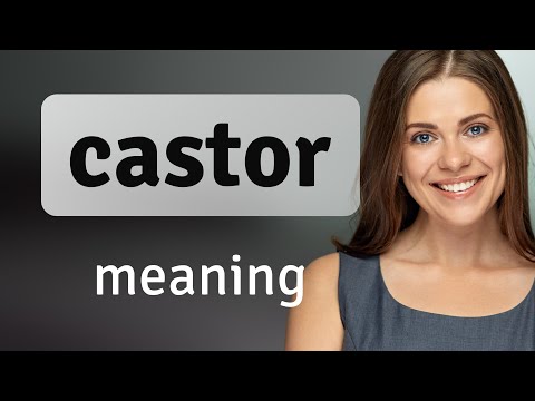 Castor | what is CASTOR meaning