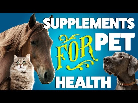 Essential Vitamins And Minerals For HEALTHY PETS!