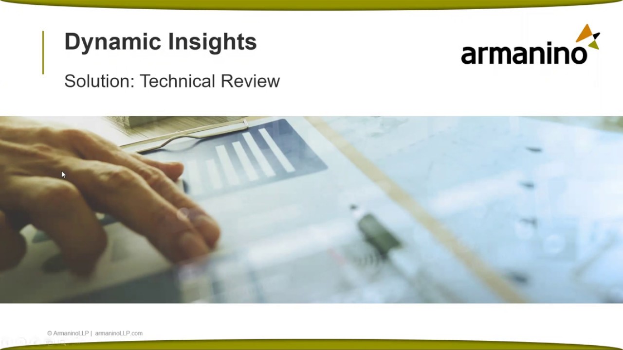 Dynamic Insights Technical Overview