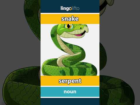 🇬🇧🇫🇷 snake - serpent : vocabulary builder : learn English : apprenons l'anglais