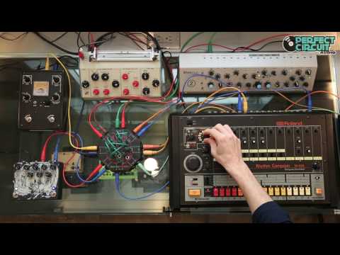Boredbrain Music Patchulator 8000 8 Channel Mini Patchbay | Reverb