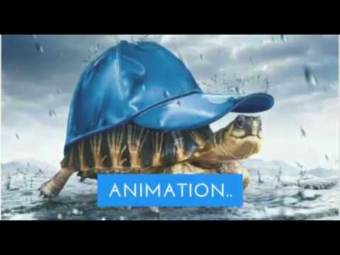 Motion Graphics Dubai