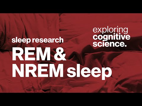 REM and NREM | sleep research #1 - Exploring Cognitive Science ðŸ§