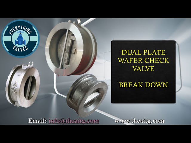 Dual Plate Check Valve - Dual Plate Check Valves Manufacturer from Pune