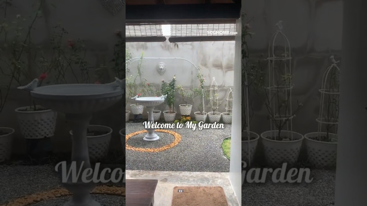 Welcome to My Garden #SCGHome #GreenInspired #แต่งสวน #สวนสไตล์อังกฤษ