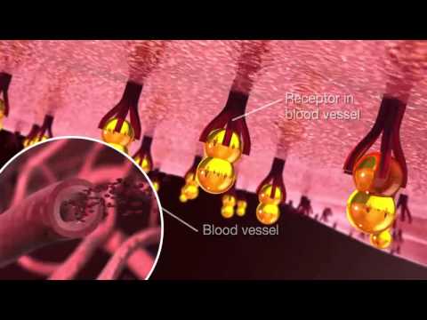 How Does Candesartan Work