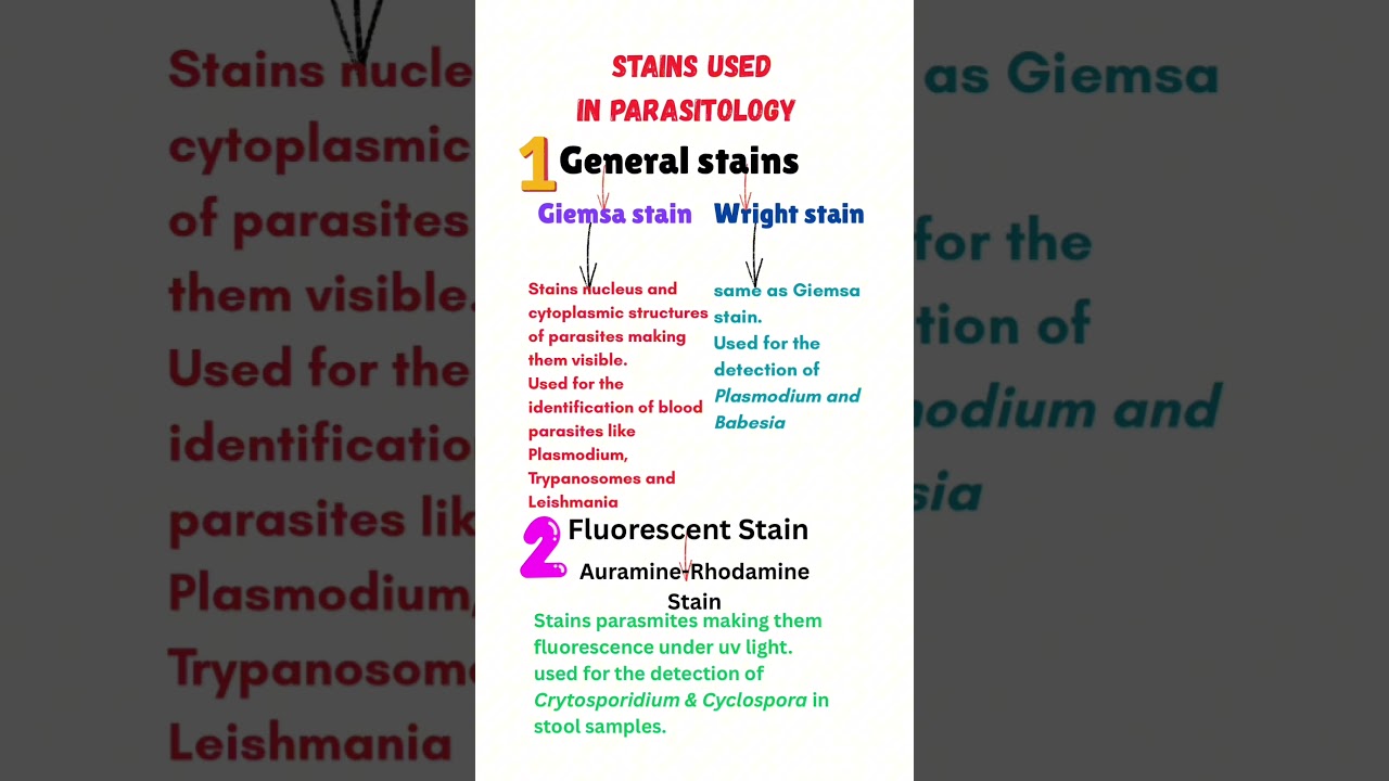 Stains Used In Parasitology  #stains #parasite