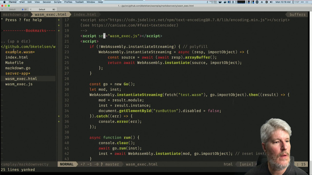 github.com/gowasm/vecty: Sync Callbacks
