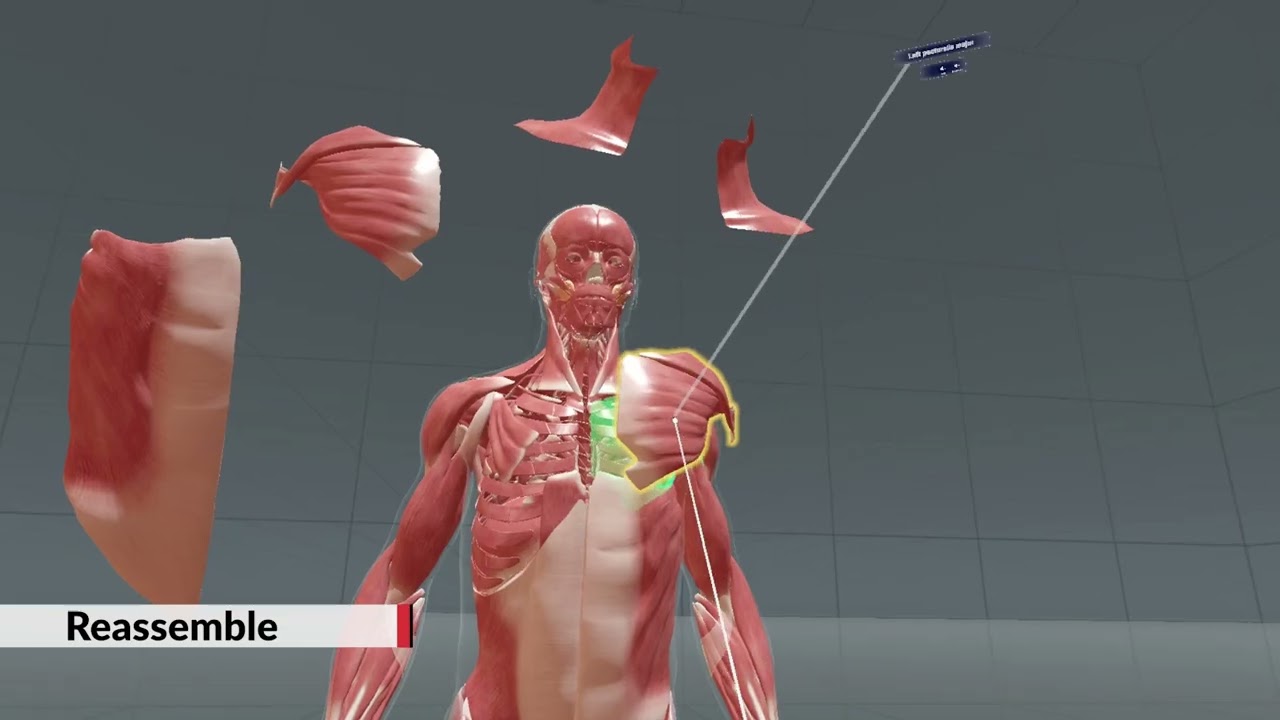 BioDigital VR: Tool Kit