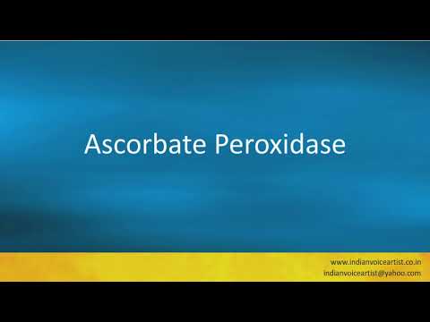 Pronunciation of the word(s) "Ascorbate Peroxidase".