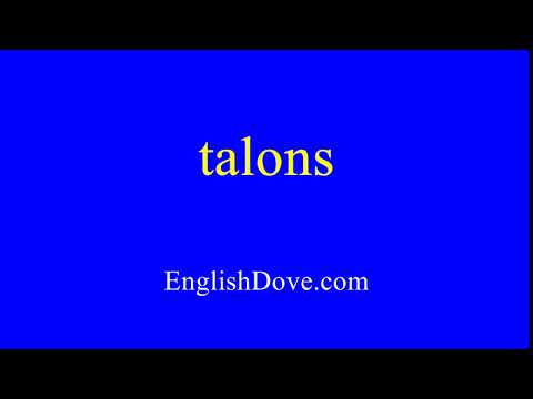How to pronounce talons in American English.