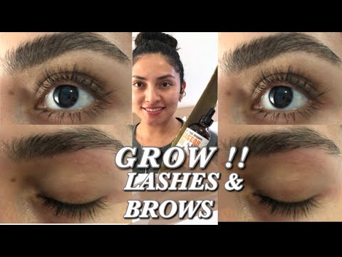 How To Grow Your Eyebrows And Eyelashes Naturally DIY Using Castor Oil And Aloe Vera | Marianellyy