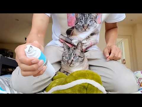 How to Use Casfuy Professional Dog Nail Grinder