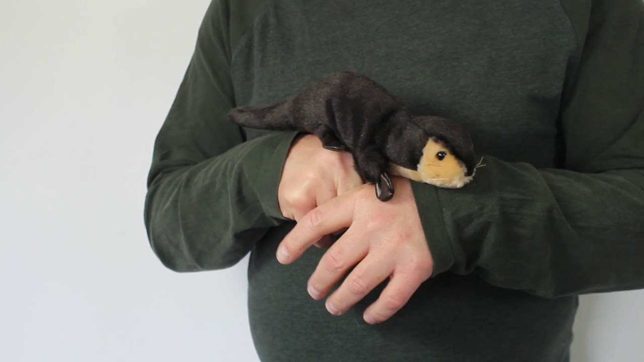 2684 Mini River Otter / Flussotter Fingerpuppe - FOLKMANIS-PUPPETS