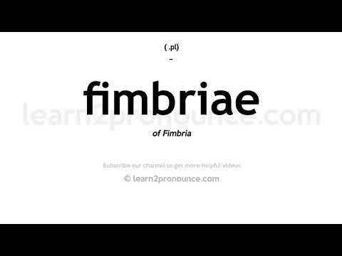 How to pronounce Fimbriae | English pronunciation