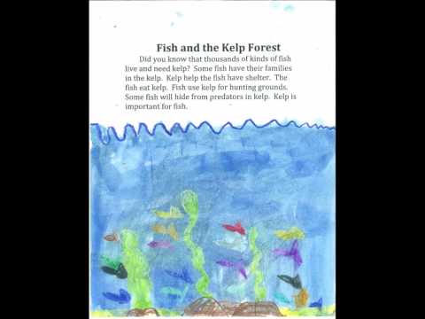 Kelp in the Classroom – Resource Matrix