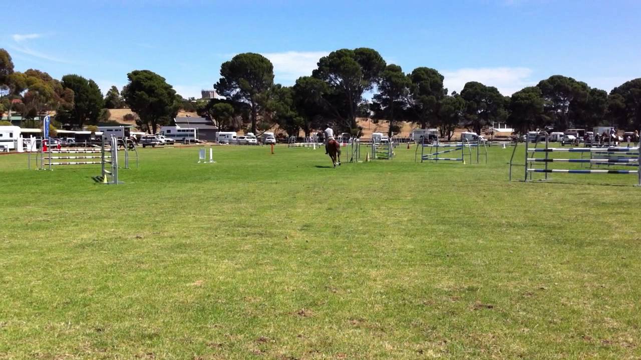 IMG 02162