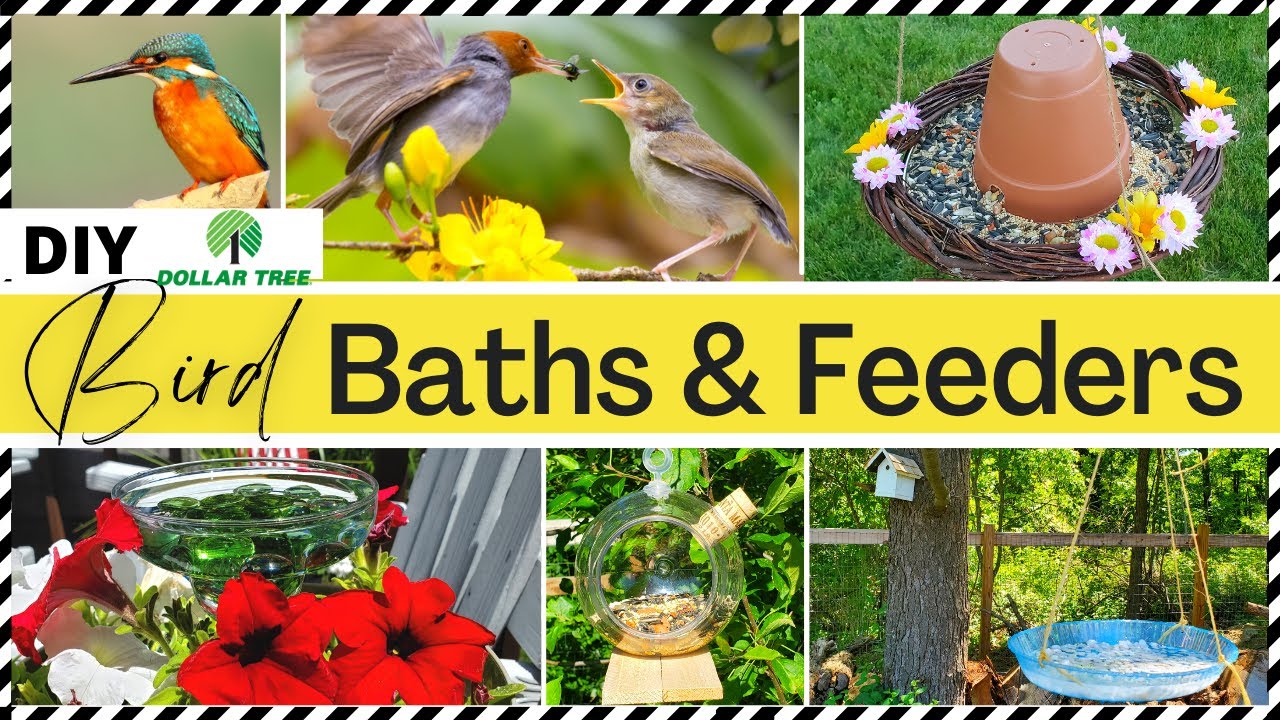 🟡 DIY OUTDOOR BIRD BATHS & FEEDERS | DOLLAR TREE DIY Easy Craft Ideas on a budget for BIRD LOVERS!