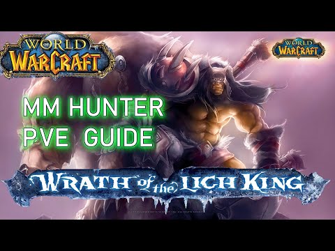 WOTLK - Hunter Guide PVE