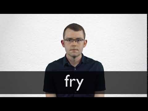 FRY definition in American English | Collins English Dictionary