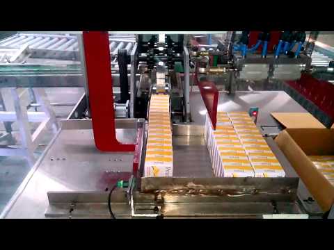 Case Packing Machinery - Case Packing Machine Latest Price ...
