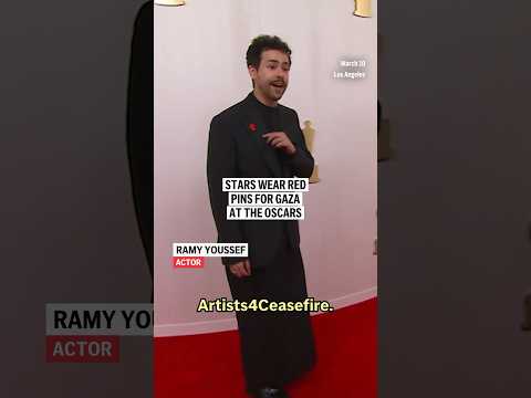 Stars wear red pins for Gaza at the Oscars